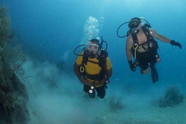 How To Do A Scuba Dive Buddy Check | The Joy of Scuba Diving