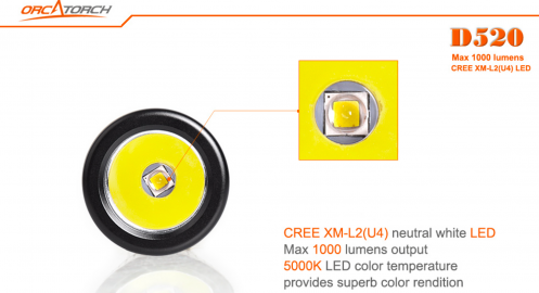OrcaTorch D520 1000 Lumen Dive Light Review – A Must Read | The Joy of ...